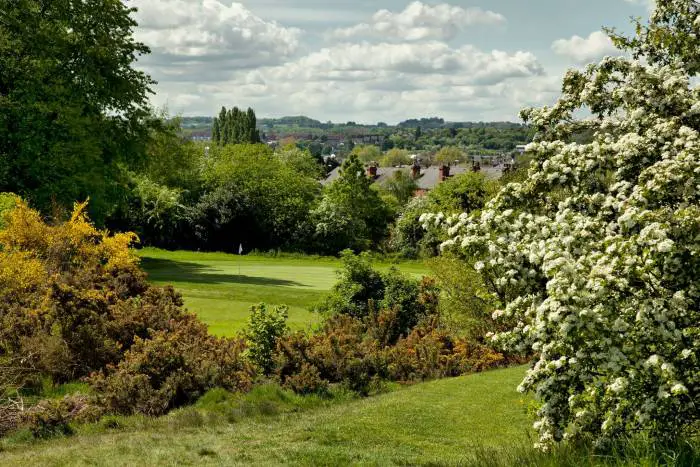 Bulwell Forest | Go&Golf