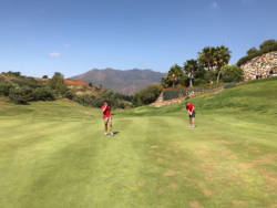 What Is Greensomes Golf - Format, Rules & Handicaps | Go&Golf