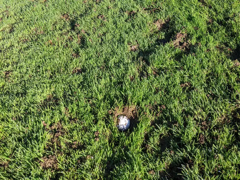 Plugged Ball Rule in Golf: Everything You Need To Know | Go&Golf